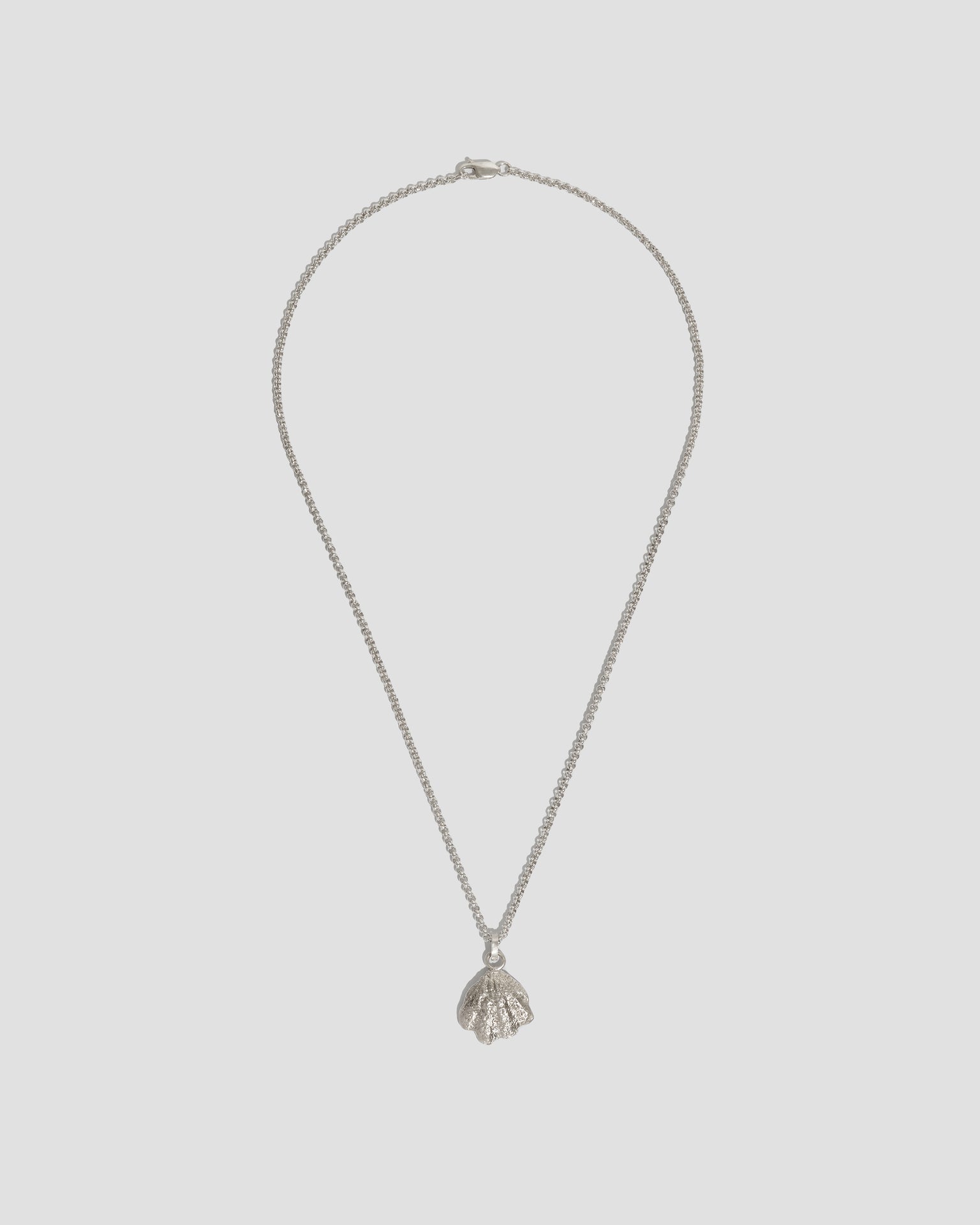 Shell Necklace – Fairly Normal